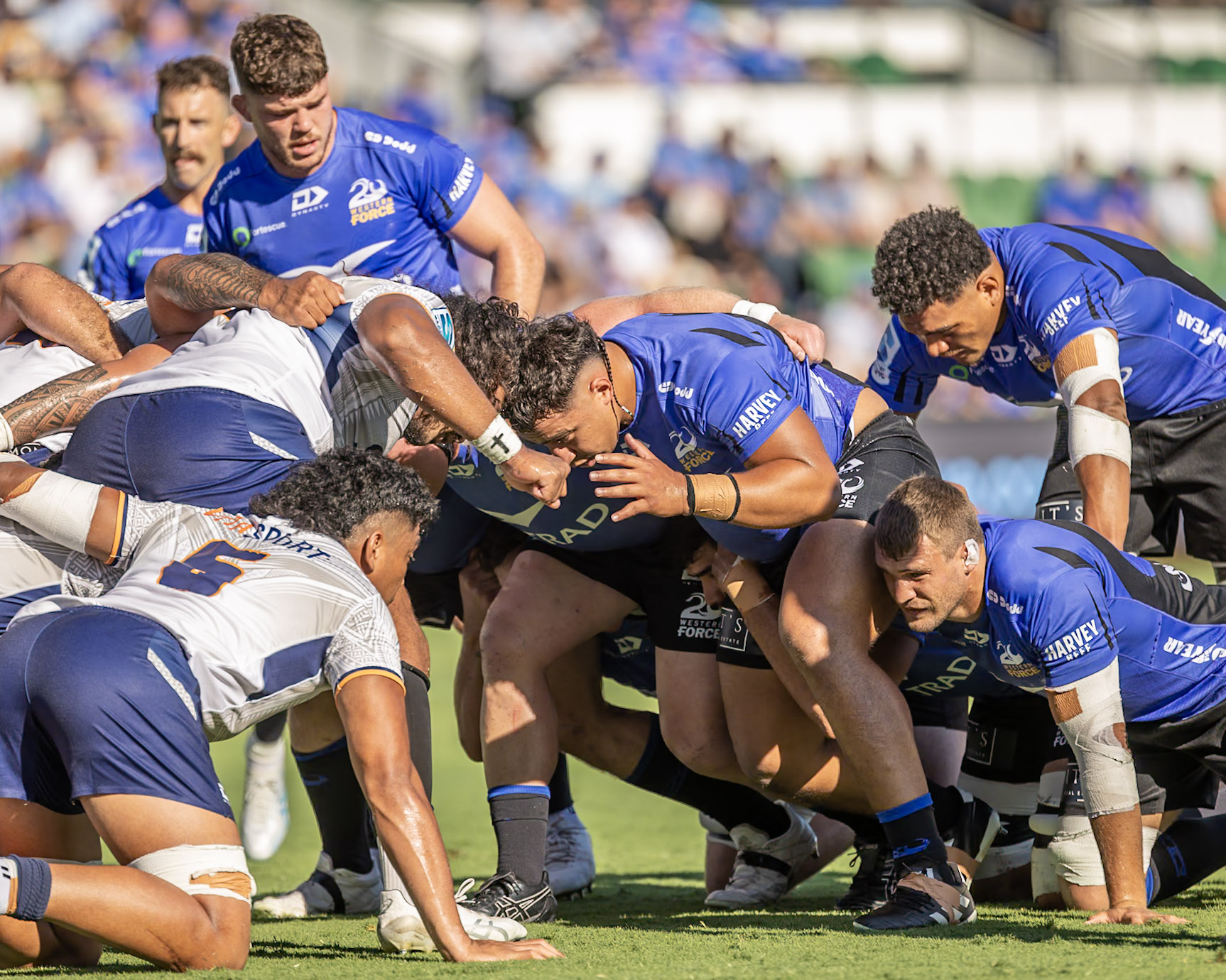 SportFM to broadcast Western Force home matches this season - SportFM